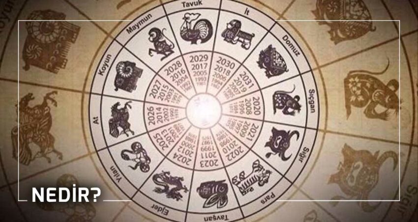 12 Hayvanlı Türk Takvimi Nedir? Nasıl Hesaplanır? – Kayıp Rıhtım
