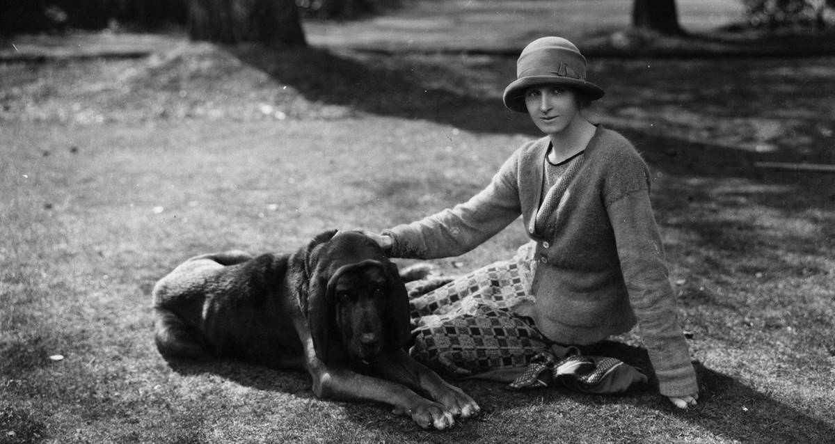 Türkiye'de Geçen En İyi 10 Kitap Açıklandı – Kayıp Rıhtım