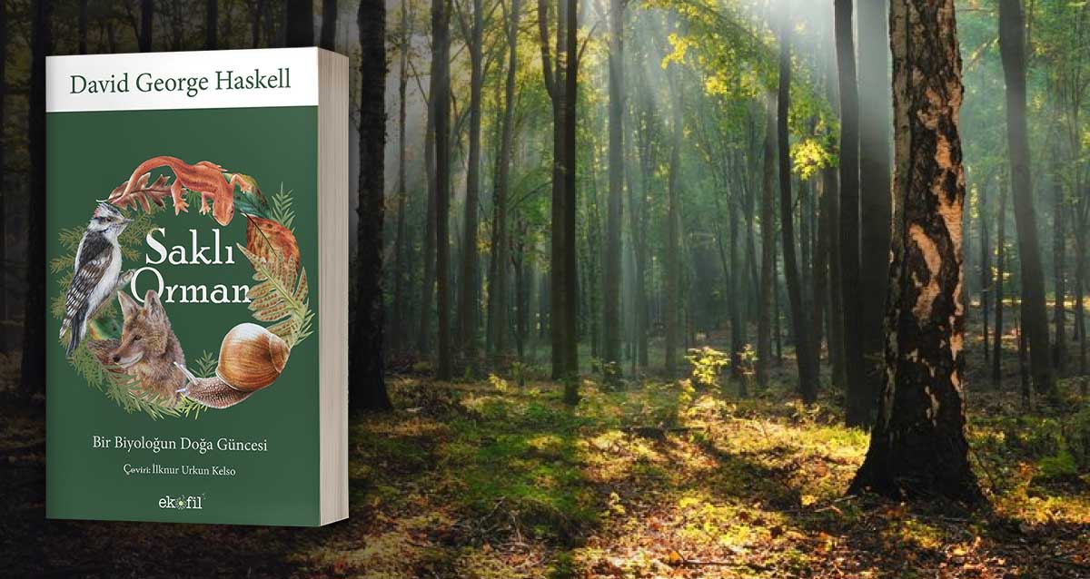 Ekofil: Topluluk Destekli Yayıncılık ile Yeni Bir Model Denemesi ...