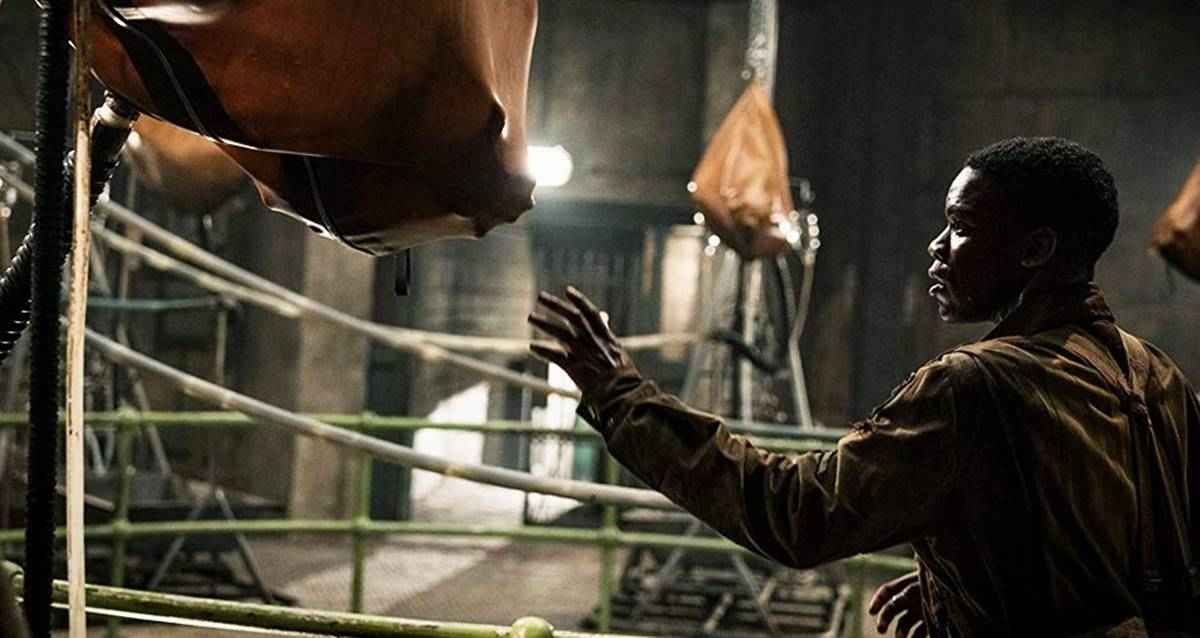 Top 10 Mutlaka Zlenmesi Gereken Zombi Filmleri Zombie