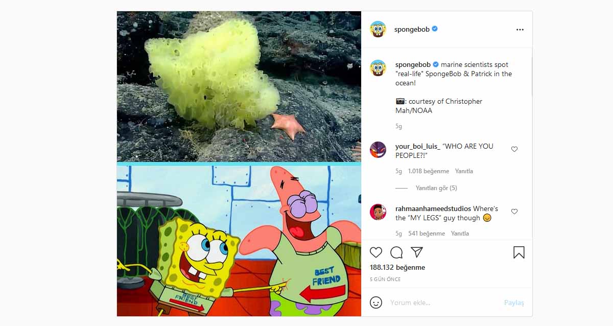 SüngerBob ve Patrick Star Gerçek Hayatta Yan Yana – Kayıp Rıhtım