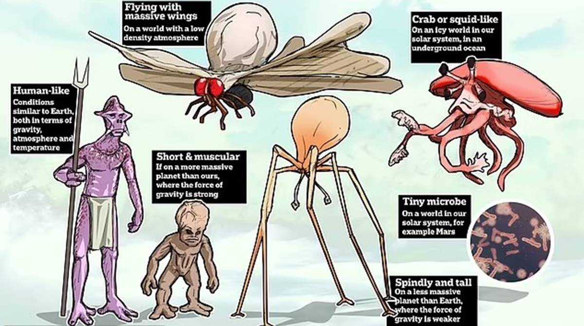 Uzaylılar Neye Benziyor? Bilim İnsanları Açıkladı