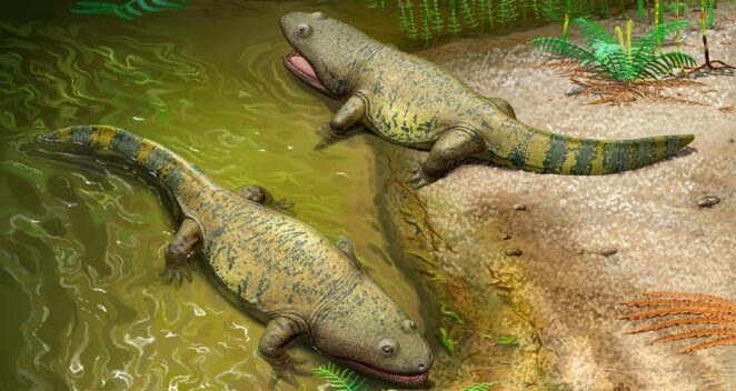 Dinozorlardan Önce Yaşamış Bir Canlının Dev Ayak İzi Bulundu