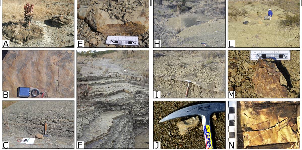 Dinozorlardan Önce Yaşamış Bir Canlının Dev Ayak İzi Bulundu