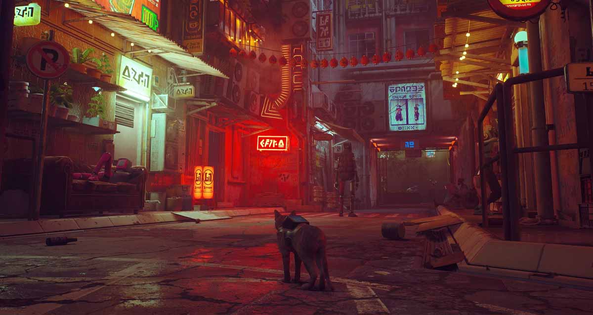 Stray Film Oluyor – Kayıp Rıhtım