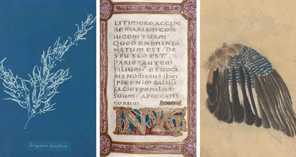 New York Halk Kütüphanesi 870 Bin Belgeyi Dijitale Açtı