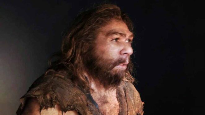 En Eski İnsan Virüsleri Neandertal Kemiklerinde Bulundu