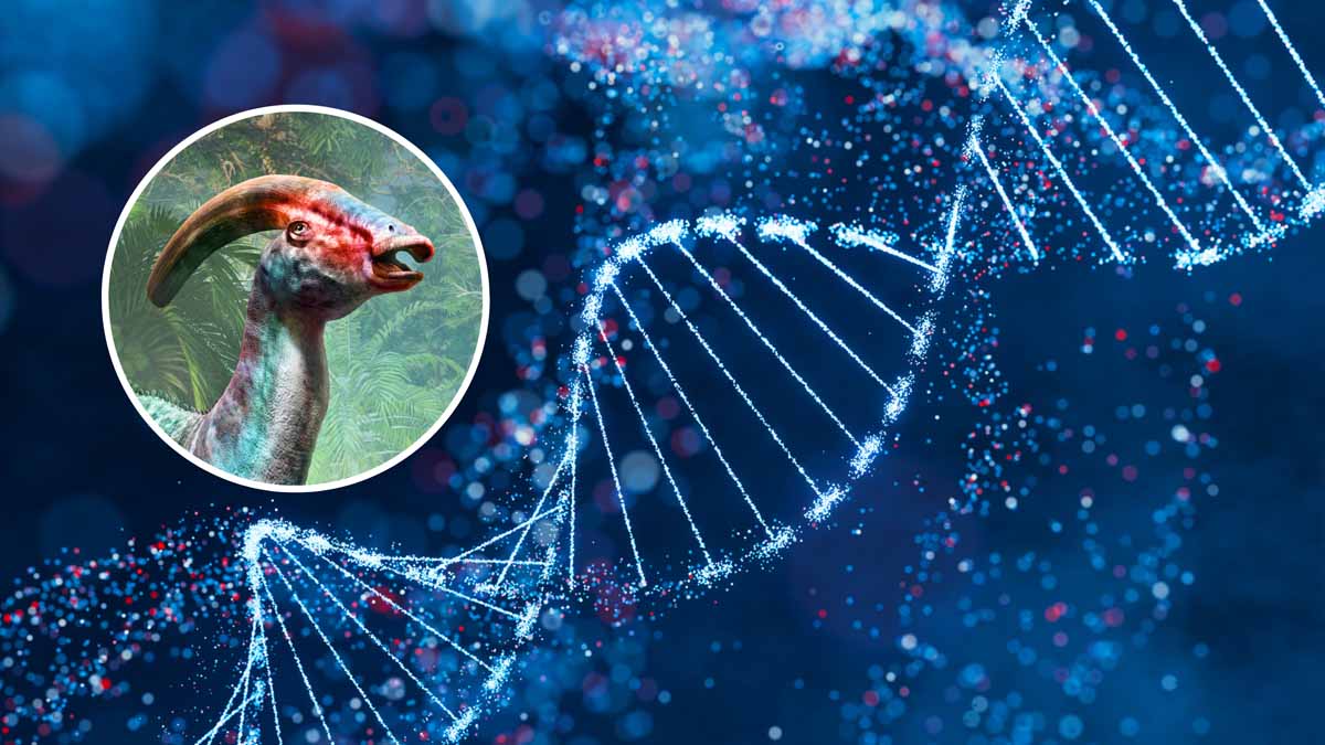 Jurassic Park Esintili Devrim: DNA Kehribarda Saklanacak