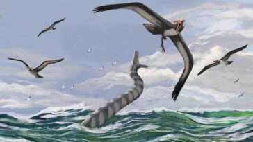 Dünyanın En Büyük Yılanı Hangisi? İşte Dev Yılanlar!