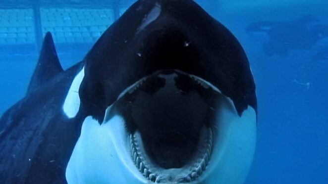 90 Dakikadan Kısa Süreli En İyi 15 Film – Kayıp Rıhtım