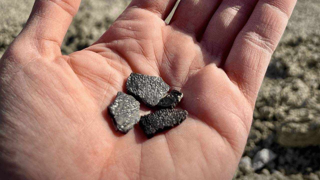 ABD'de 100 Milyon Yıllık Dinozor Yumurtaları Keşfedildi