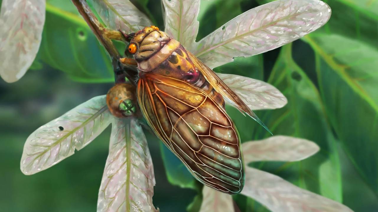 47 Milyon Yıllık Ağustos Böceği Fosili Keşfedildi