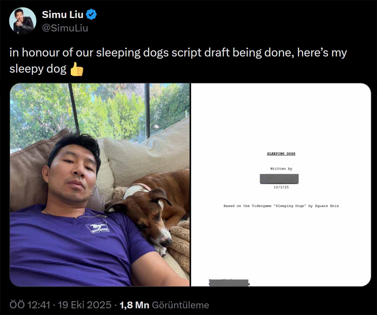 Sleeping Dogs Filminde Müjde Simu Liu'dan Geldi
